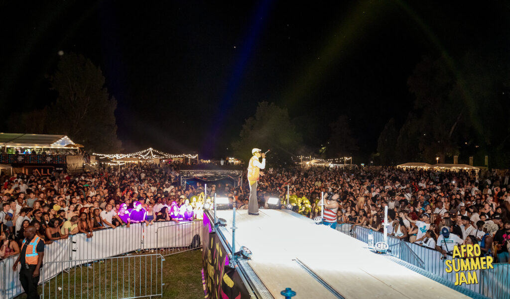 Afro Summer Jam 2025 on the Landiwiese | Zurich's Lakeside